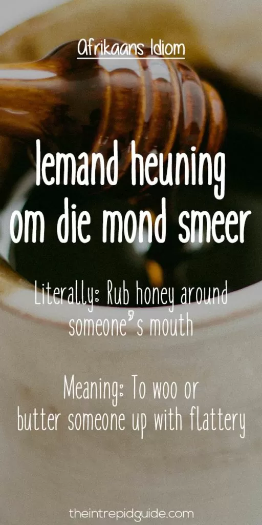 25 Hilarious Afrikaans Idioms That Should Exist in English