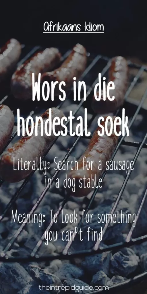 25 Hilarious Afrikaans Idioms That Should Exist in English