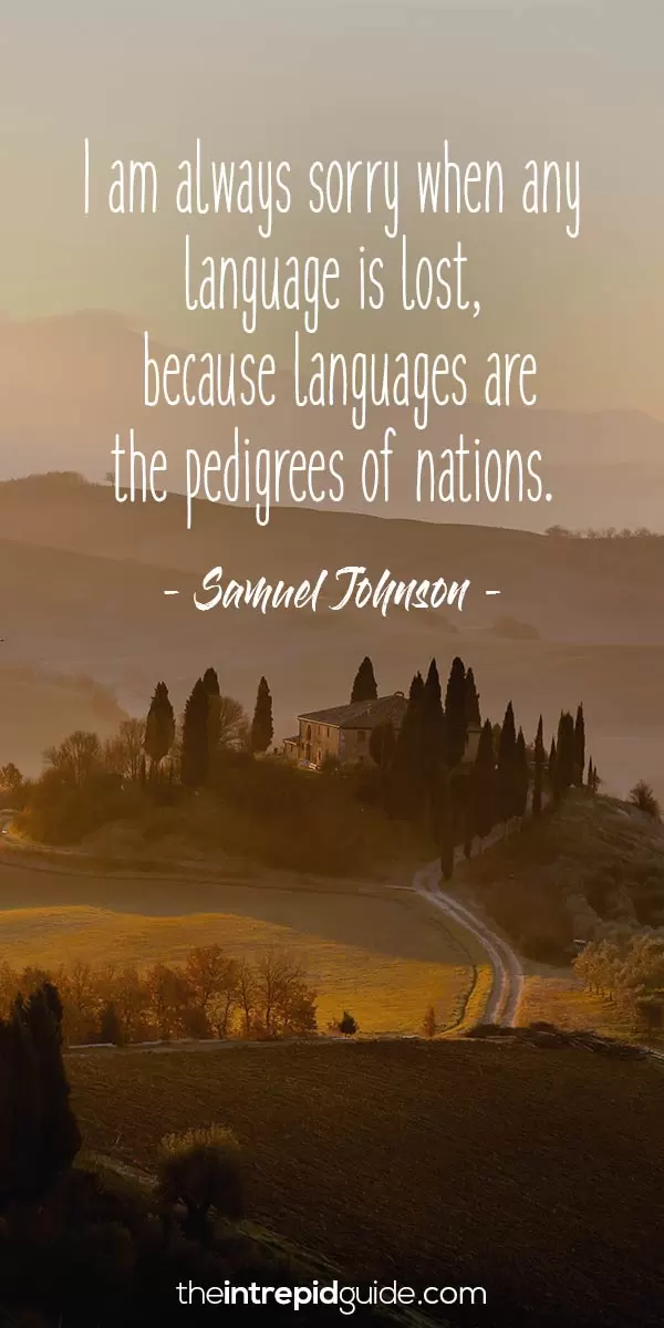 42 Awesome Inspirational Quotes for Language Learners - The Intrepid Guide