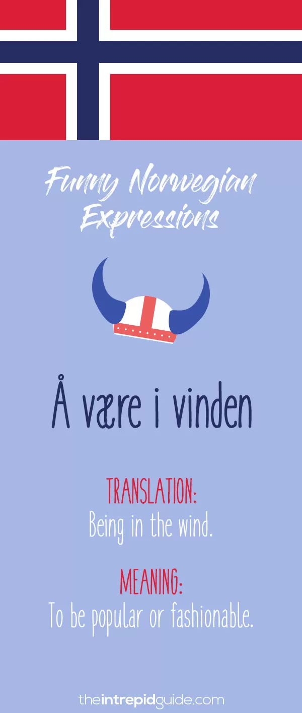 49 Hilarious Norwegian Idioms and Sayings That Will Make You Giggle ...