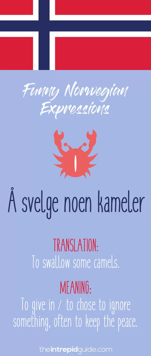 49 Hilarious Norwegian Idioms and Sayings That Will Make You Giggle ...