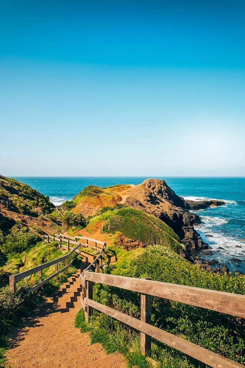 43 Best Things to Do on the Mornington Peninsula [By a Local] - The ...