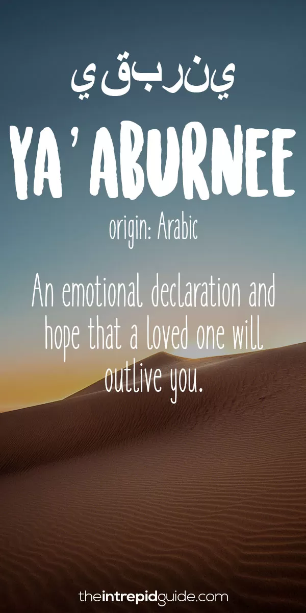 203 Most Beautiful Untranslatable Words [The Ultimate List: A-Z] - The Intrepid Guide
