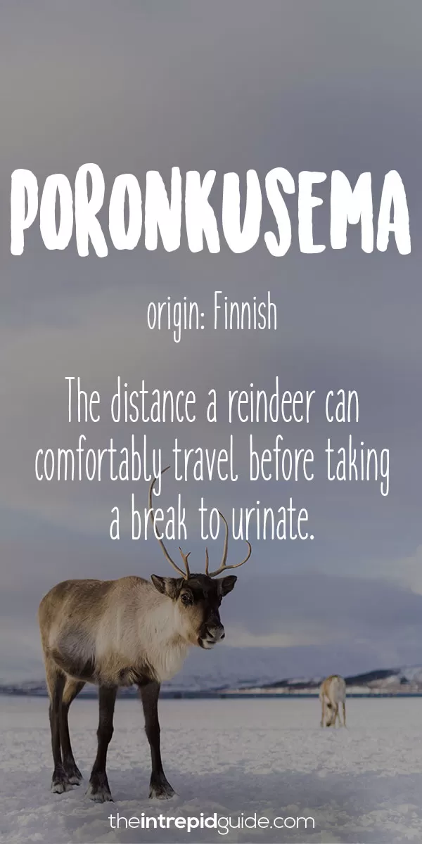 203 Most Beautiful Untranslatable Words [The Ultimate List: A-Z] - The ...