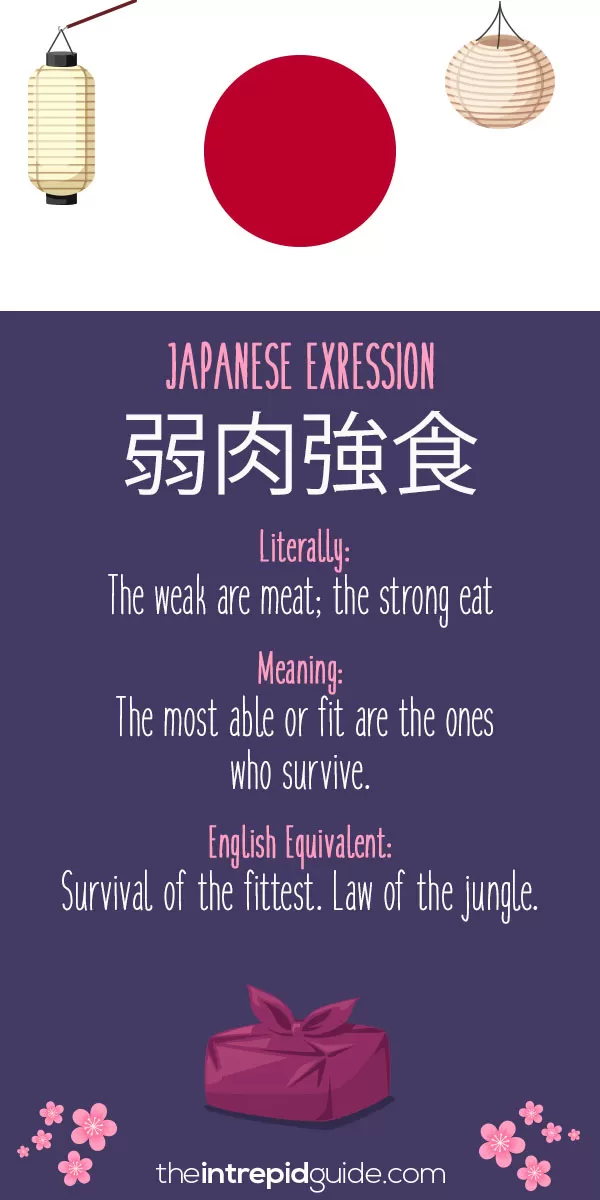 69 Wonderful Japanese Idioms That Will Brighten Your Day - The Intrepid ...