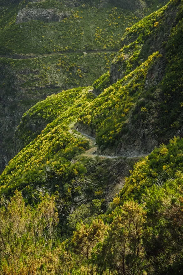 35 Best Things to do in Madeira, Portugal // The Ultimate Guide 2024 ...