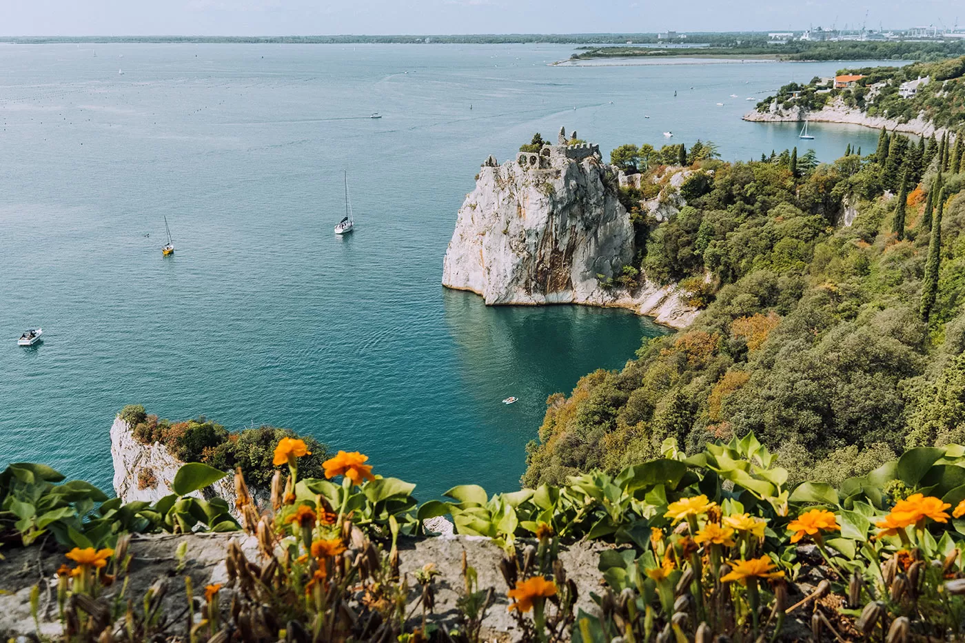 27 Best Things to Do in Trieste, Italy (PLUS Map, BEST Tours & Day Trips) - The Intrepid Guide